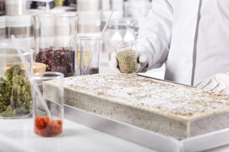 An Overview Of Food Operations Management [2024]